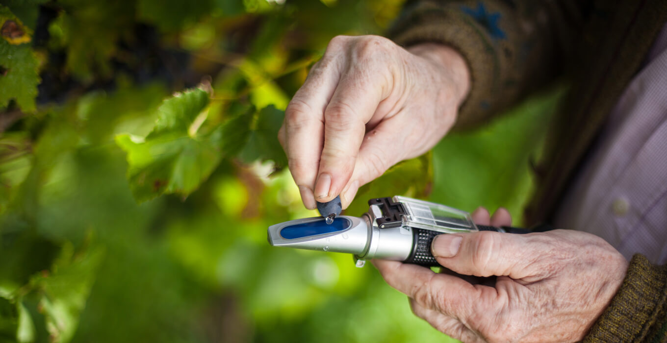 Grad Oechsle – Was bedeutet das?